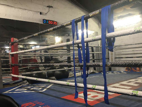 Hand wraps – Songard Limited